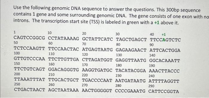 Solved Use the following genomic DNA sequence to answer the | Chegg.com