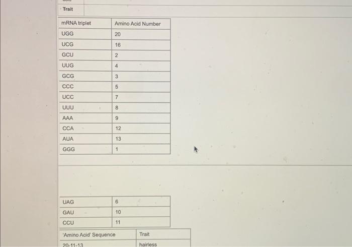 Solved The SNORG - How Does DNA Determine the Traits of an | Chegg.com