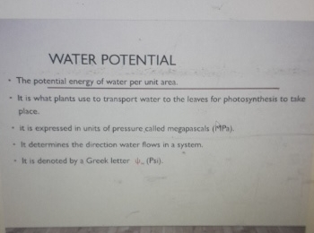 Solved WATER POTENTIAL explanation The potential energy of | Chegg.com