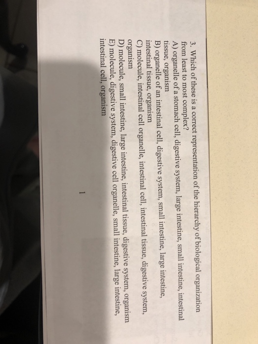 Solved: 3. Which Of These Is A Correct Representation Of T... | Chegg.com