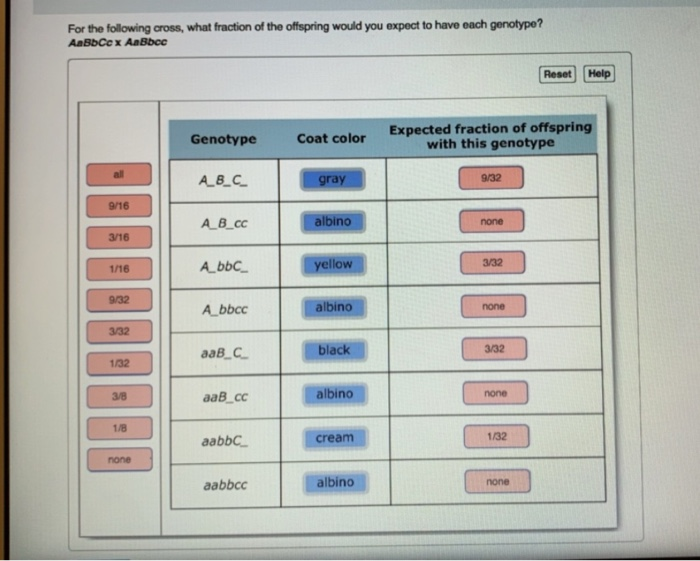 Solved in rats, the following genotypes of two independently | Chegg.com