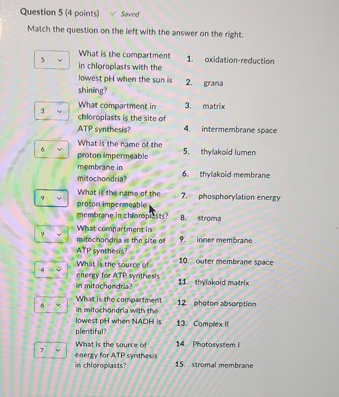 Solved Question 5 (4 points) 、 Saved Match the question on | Chegg.com
