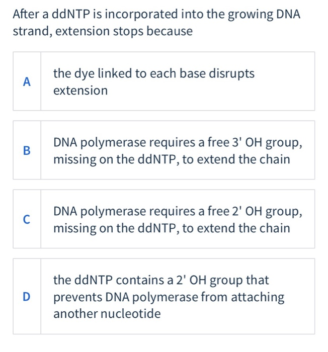 Solved After a ddNTP is incorporated into the growing DNA | Chegg.com