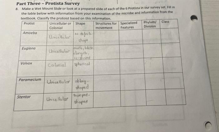 Solved Part Three - Protista Survey 8. Make a Wet Mount | Chegg.com