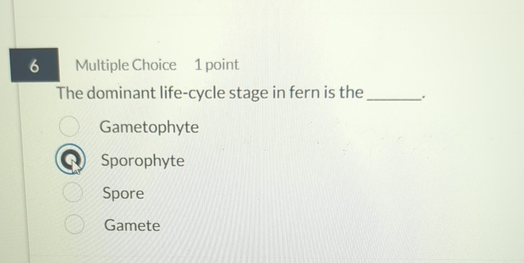 Solved Multiple Choice1 pointThe dominant life-cycle stage | Chegg.com Solved Multiple Choice1 pointThe dominant life-cycle stage | Chegg.com