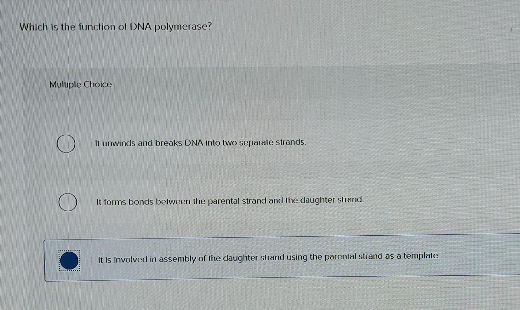 Solved Which is the function of DNA polymerase? Multiple | Chegg.com