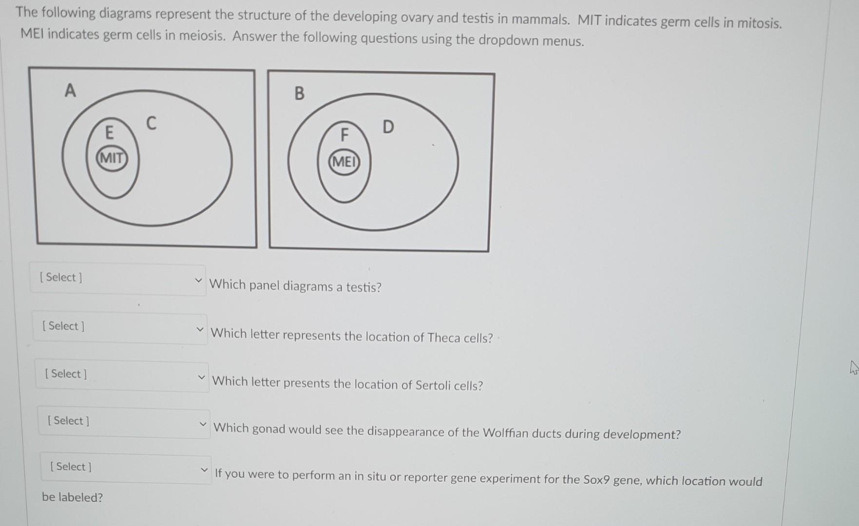 Solved The following diagrams represent the structure of the | Chegg.com