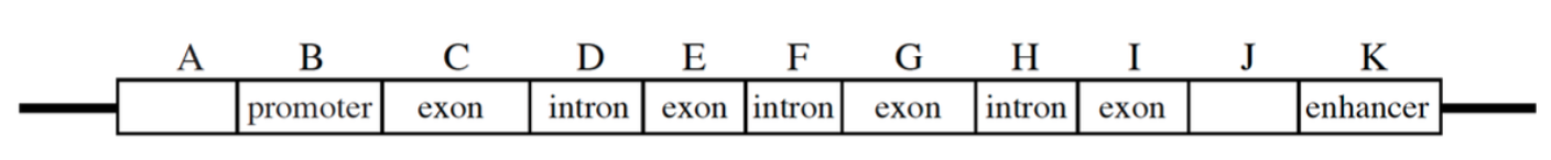 Solved a. ﻿which segment/segments contain the translation | Chegg.com