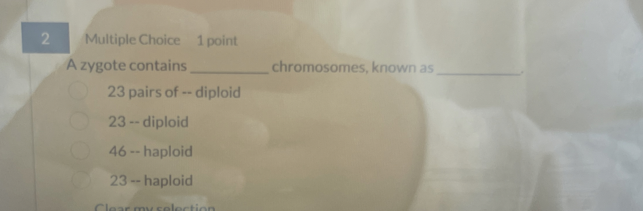 Solved 2Multiple Choice1 ﻿pointA zygote contains | Chegg.com