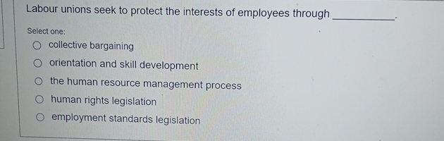 Solved Labour unions seek to protect the interests of | Chegg.com