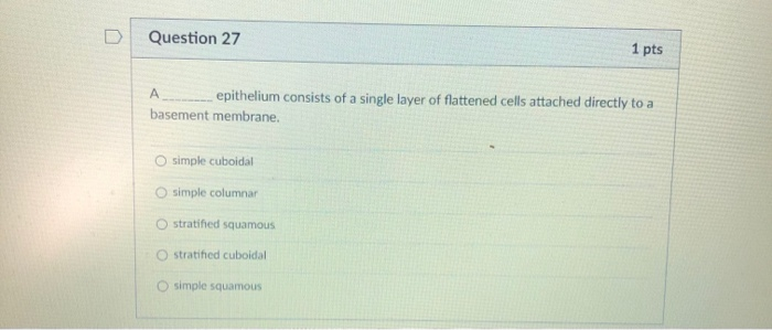 Solved Question 27 1 pts A_ _epithelium consists of a single | Chegg.com
