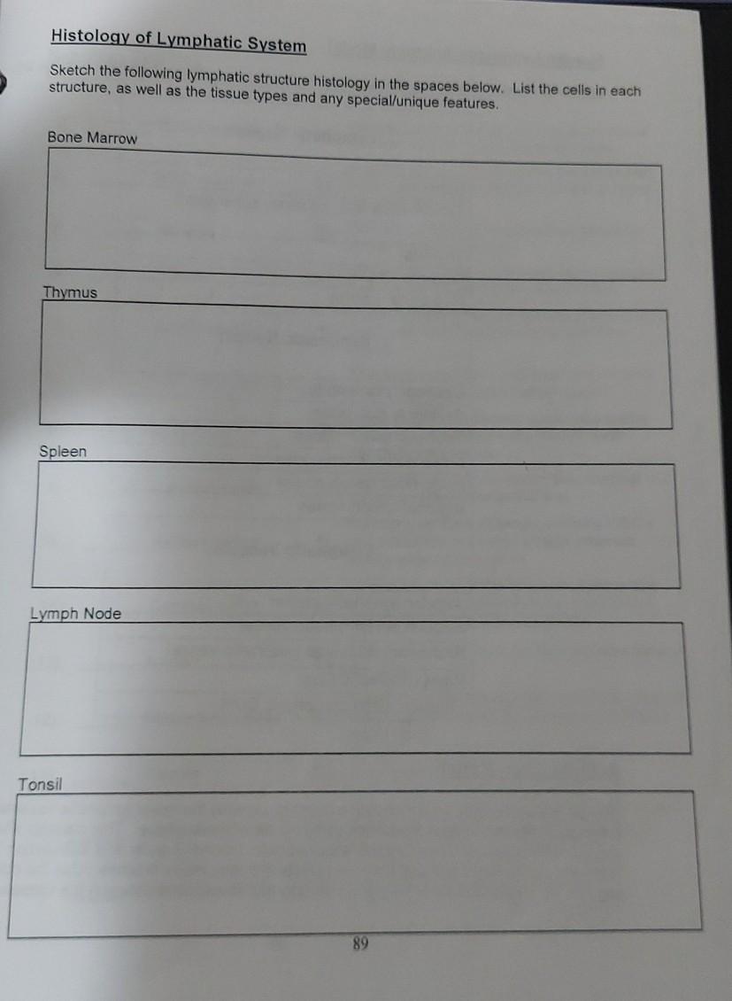 Solved Sketch the following him thetic structure histology | Chegg.com