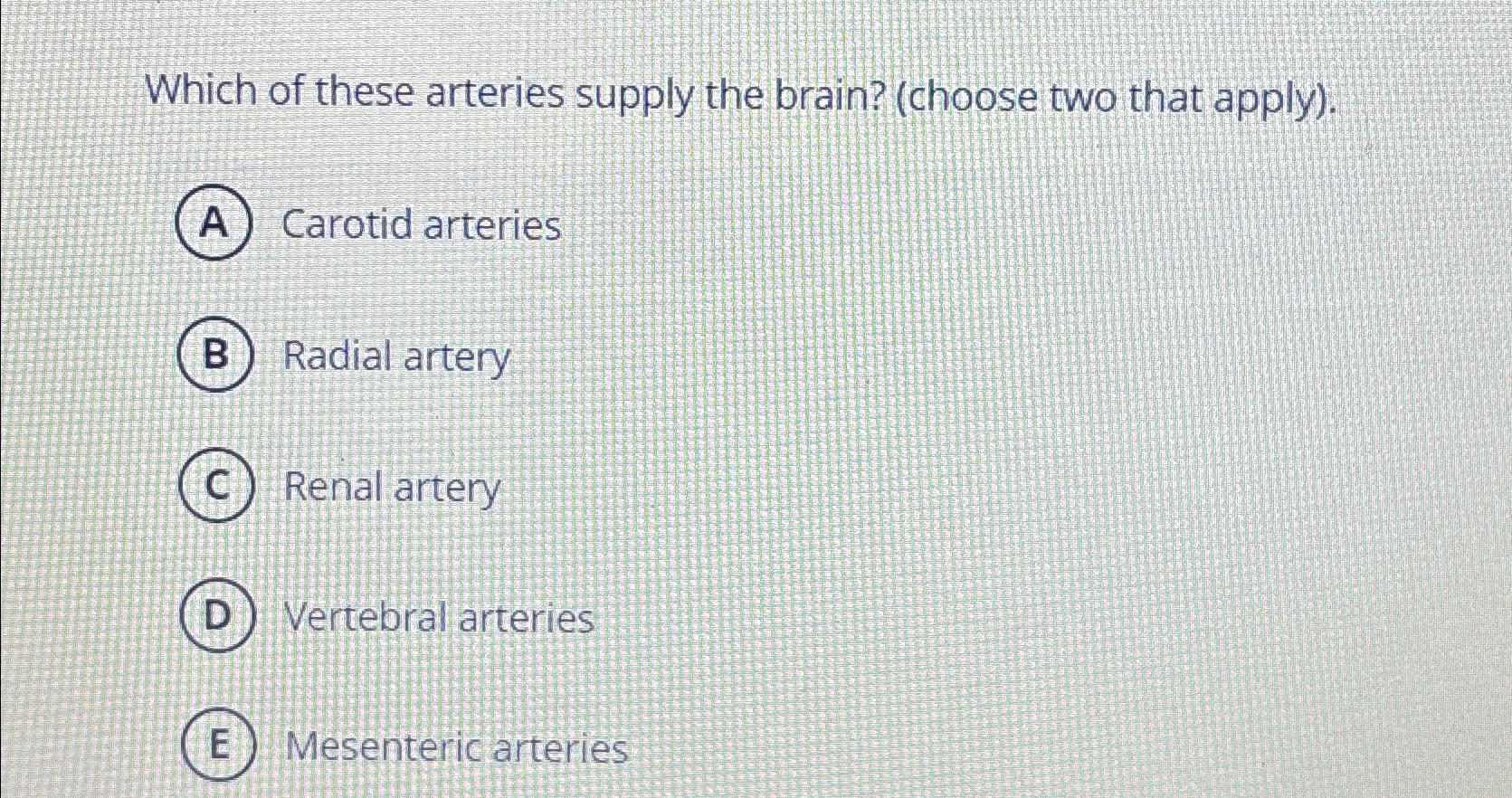 Solved Which of these arteries supply the brain? (choose two | Chegg.com