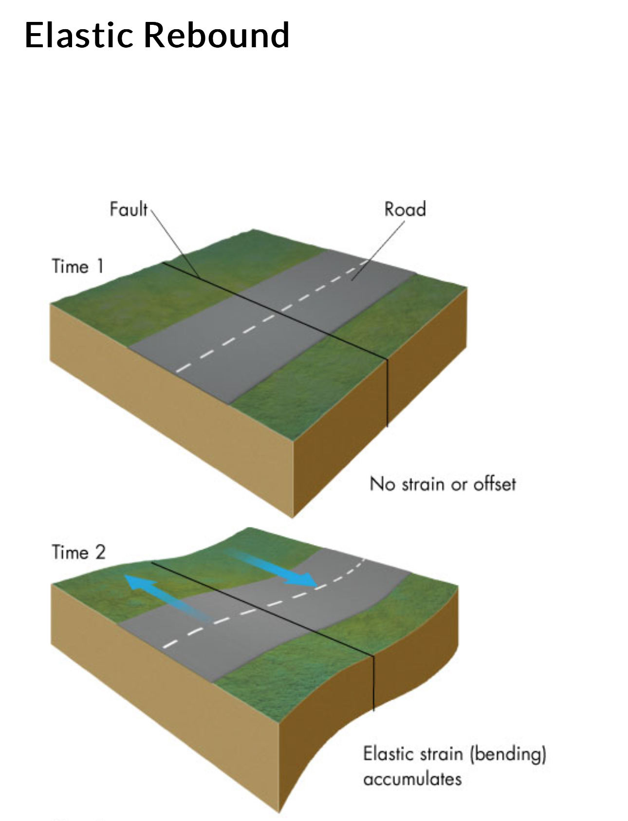 Watch the elastic rebound animation. What causes the | Chegg.com