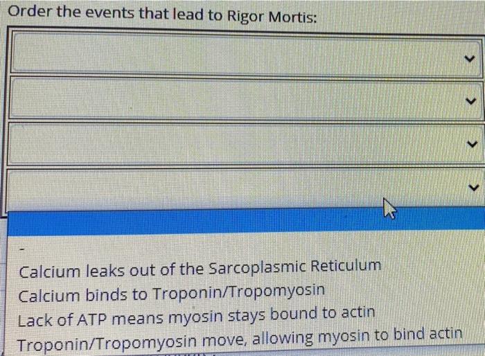 Solved Order the events that lead to Rigor Mortis: