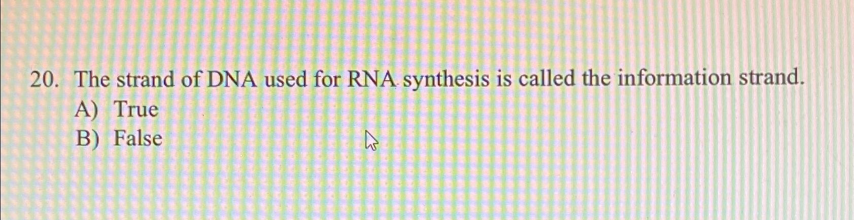 Solved The strand of DNA used for RNA synthesis is called | Chegg.com