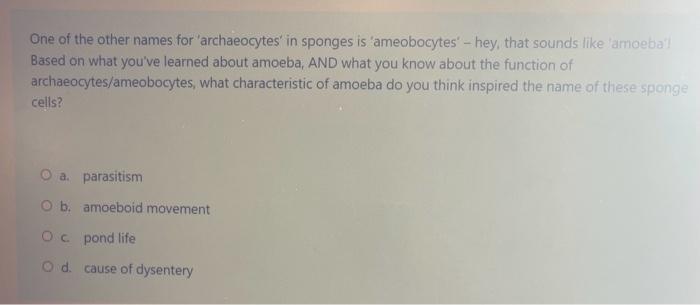 Solved One of the other names for 'archaeocytes' in sponges | Chegg.com