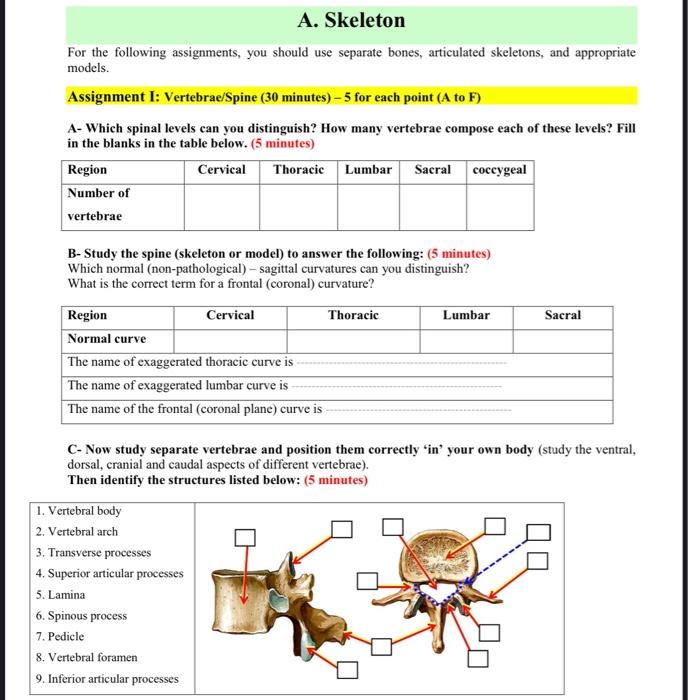 Solved A. Skeleton For the following assignments, you should | Chegg.com