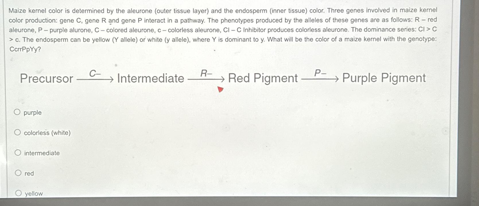 Solved Maize kernel color is determined by the aleurone | Chegg.com
