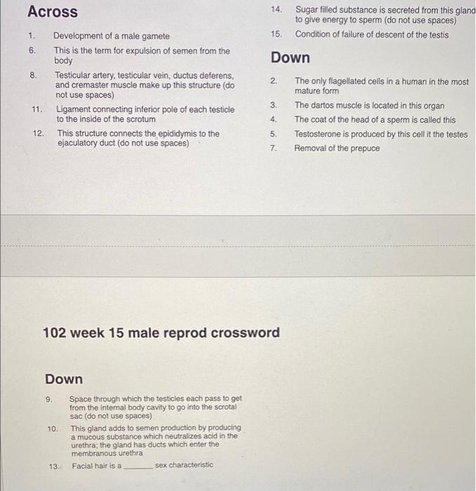 Solved 102 week 15 male reprod crossword 10 12 19 15 | Chegg.com
