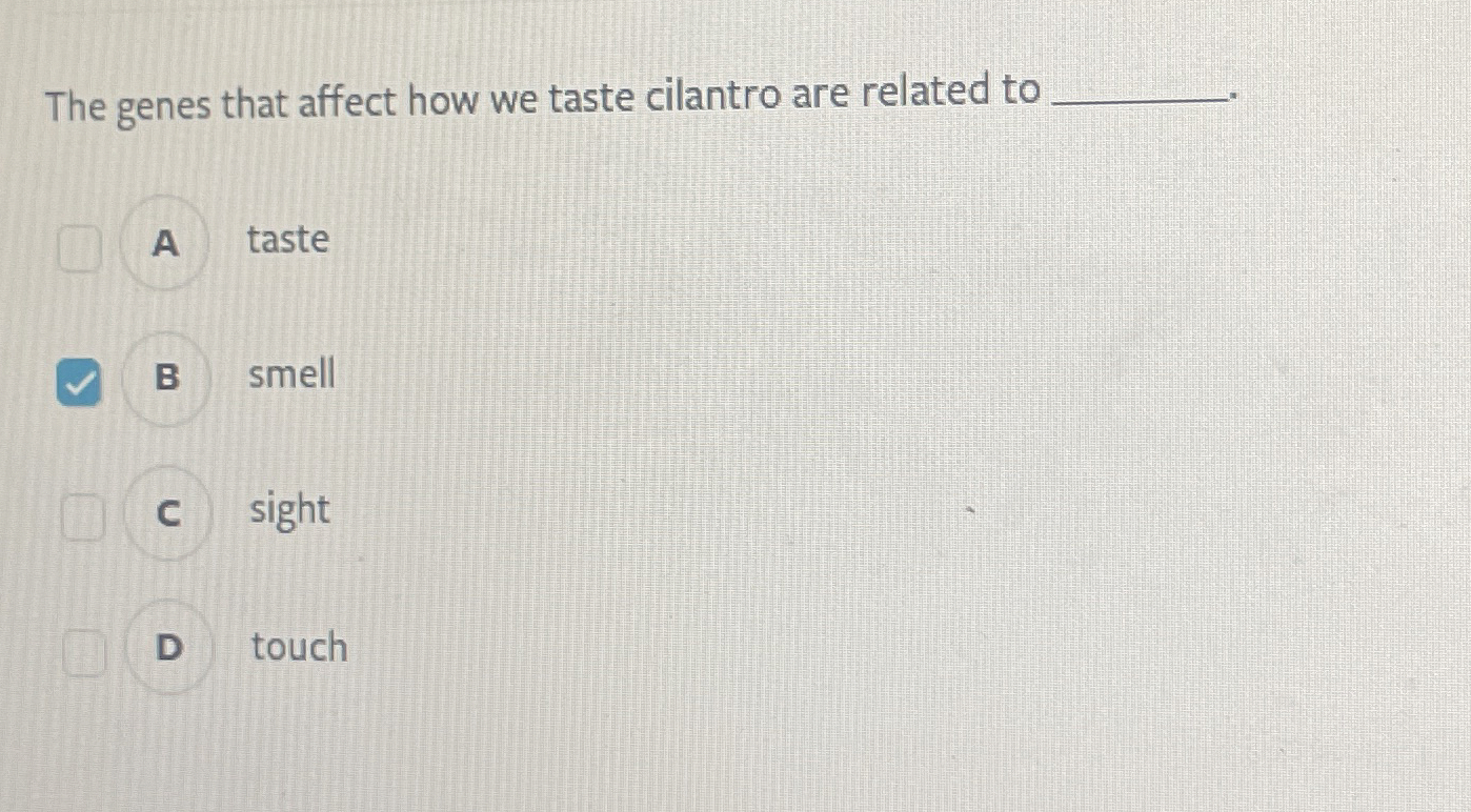 Solved The genes that affect how we taste cilantro are | Chegg.com