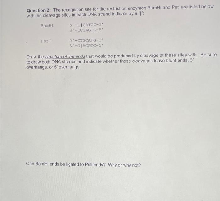 Solved the recognition site for the restriction enzymes | Chegg.com