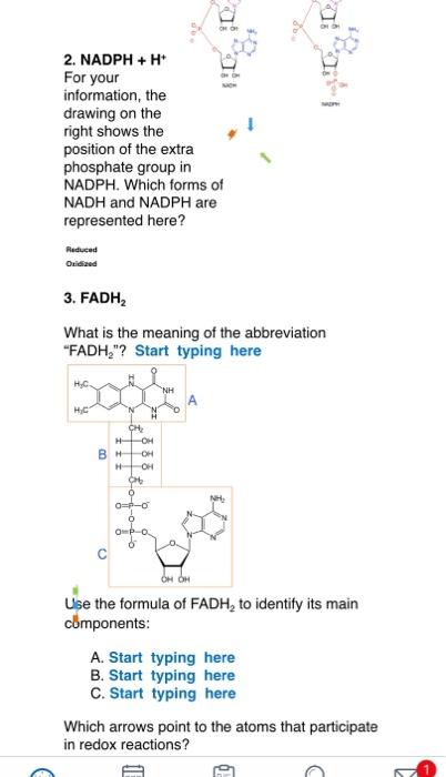 Solved 2. NADPH + H+ For your information, the drawing on | Chegg.com