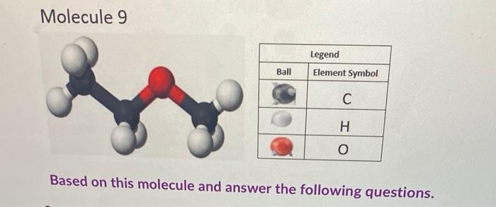 Solved Molecule 9 Based on this molecule and answer the | Chegg.com