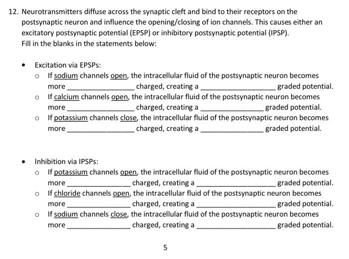 Solved 2. Neurotransmitters diffuse across the synaptic | Chegg.com