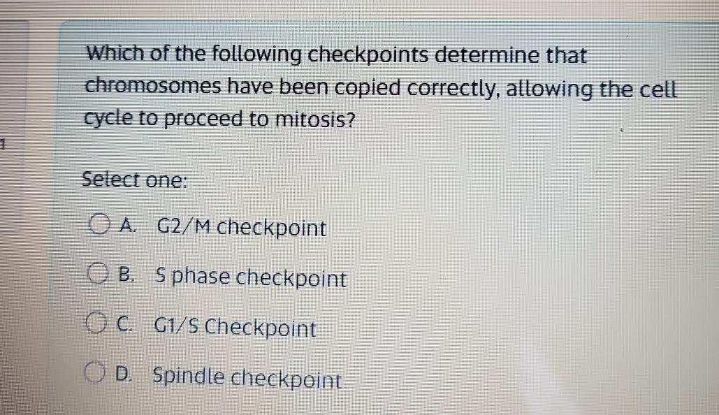 Solved Which of the following checkpoints determine that | Chegg.com
