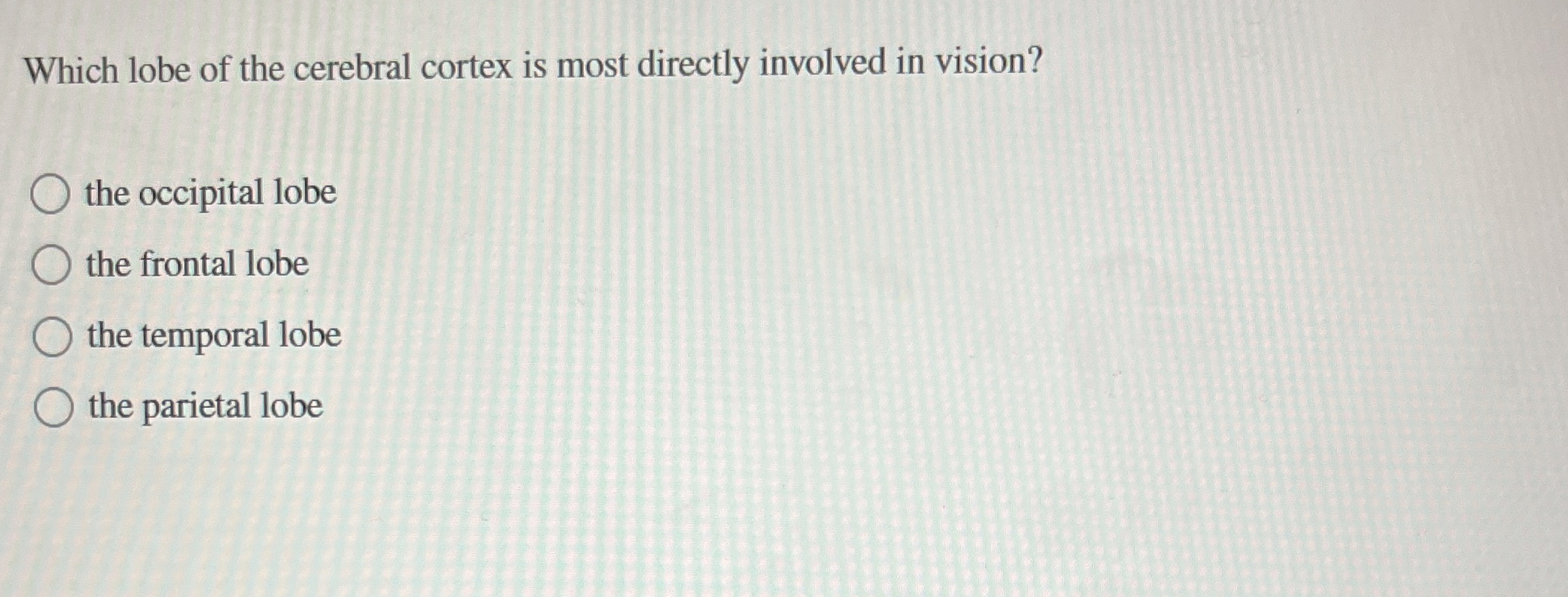 Solved Which lobe of the cerebral cortex is most directly | Chegg.com