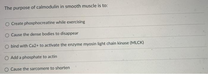 Solved The purpose of calmodulin in smooth muscle is to: | Chegg.com