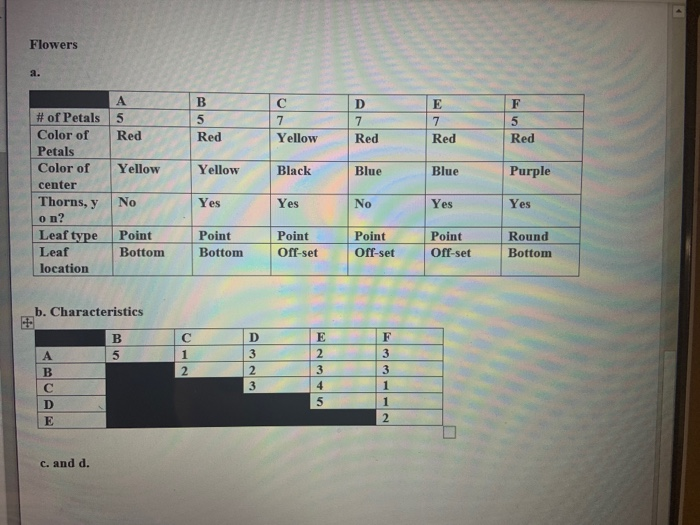 Solved i need help with C and D of the phylogenetic tree | Chegg.com