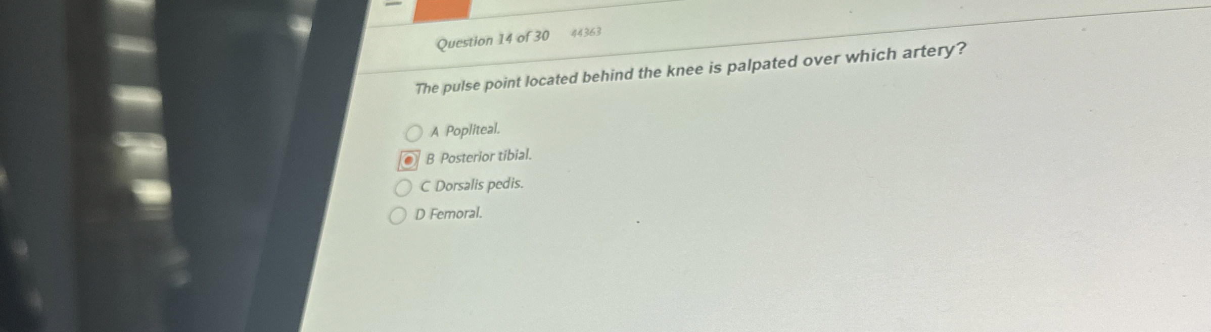 Solved The pulse point located behind the knee is palpated | Chegg.com