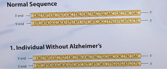 Normal Sequence - 5 3'end - CAG TATCGC TGT) CAC TAG | Chegg.com