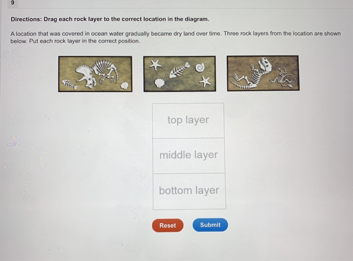 Solved 9 Directions: Drag each rock layer to the correct | Chegg.com