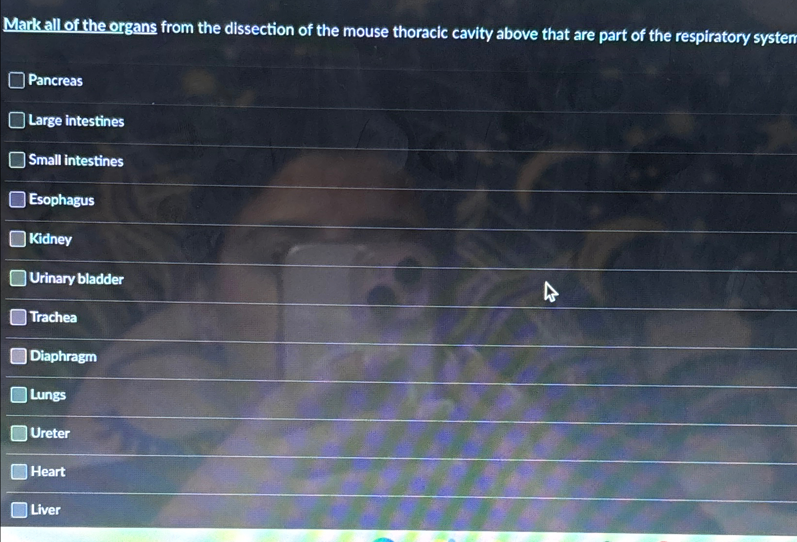 Solved Mark all of the organs from the dissection of the | Chegg.com