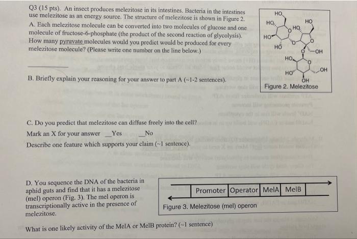 Solved Q3 (15 pts). An insect produces melezitose in its | Chegg.com