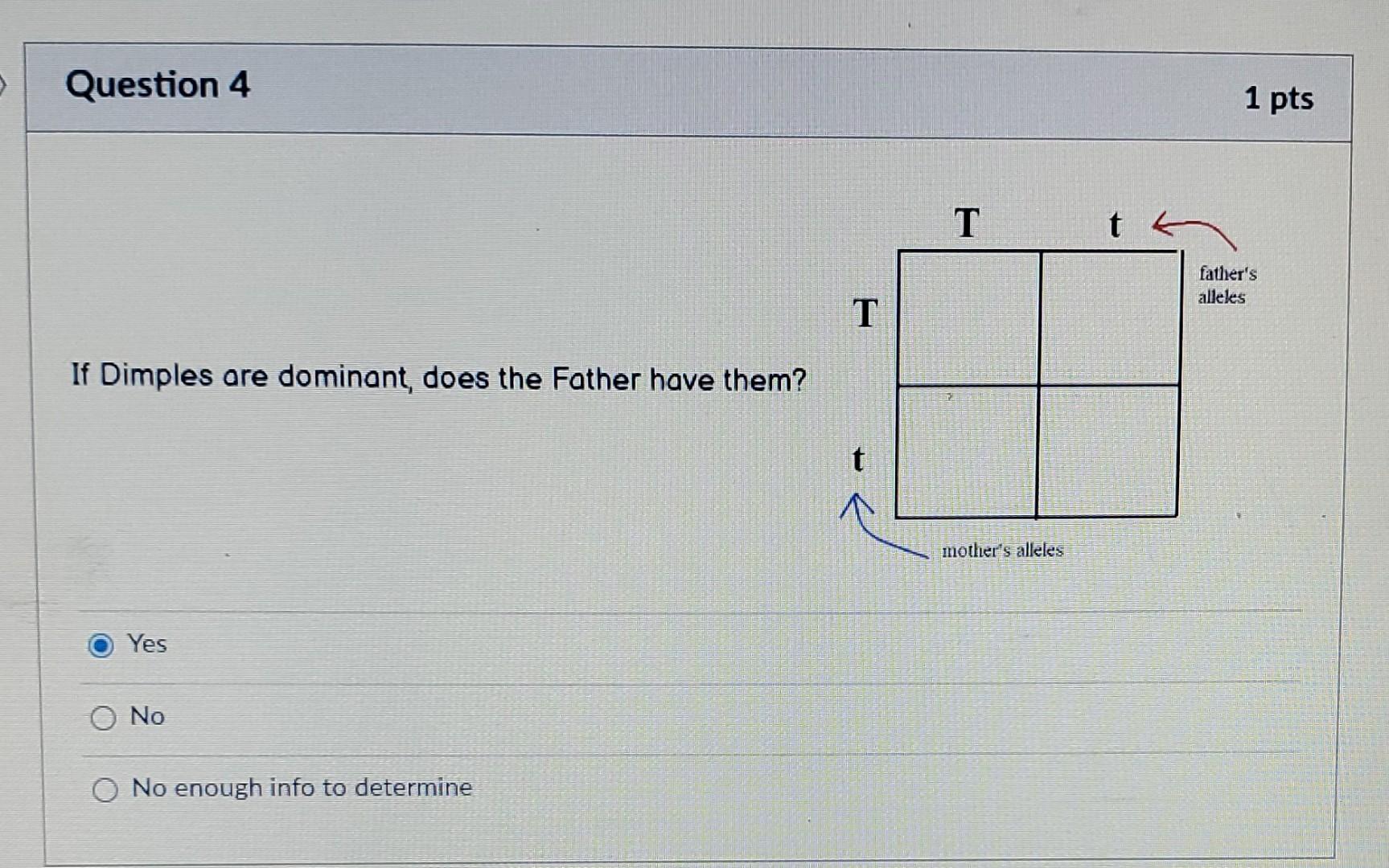 Solved Question 4 1 pts T father's alleles T If Dimples are | Chegg.com