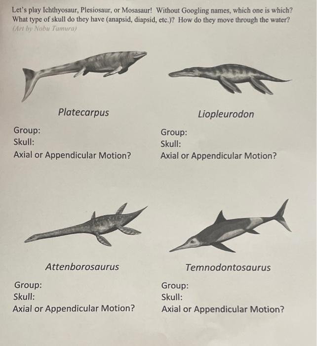 Solved Let's play Ichthyosaur, Plesiosaur, or Mosasaur! | Chegg.com