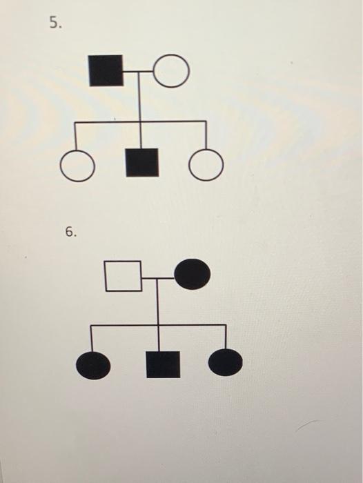 Solved Which Modes of Inheritance are possible? Choose from: | Chegg.com