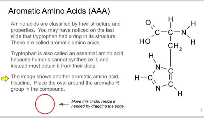 Solved Aromatic Amino Acids (AAA) Amino acids are classified | Chegg.com