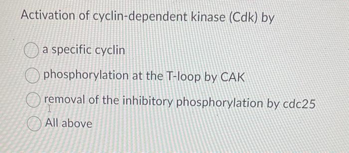 [Solved]: Activation of cyclin-dependent kinase (Cdk) by a