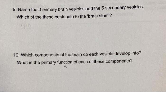 Solved 9. Name the 3 primary brain vesicles and the 5 | Chegg.com