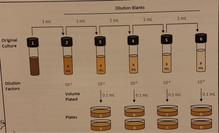 Solved using the dilution scheme shown below. Apply the | Chegg.com