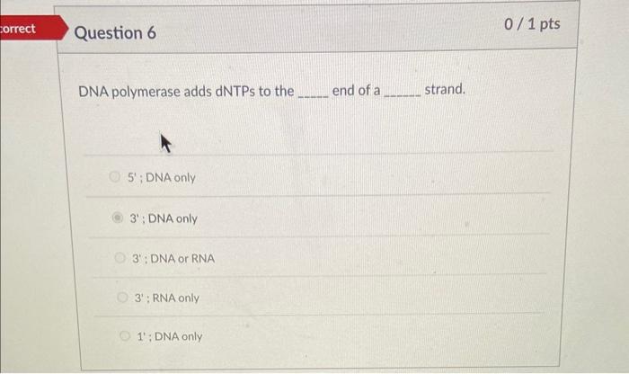 Solved end of a strand. DNA polymerase adds dNTPs to the 5'; | Chegg.com