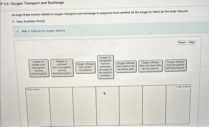 Solved Arrange these events related to oxygen transport and | Chegg.com
