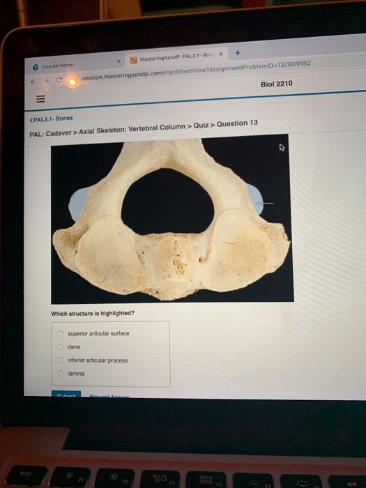 Solved: Course Home > C Mastering AndP: PAL3.1. Bon + Sess... | Chegg.com