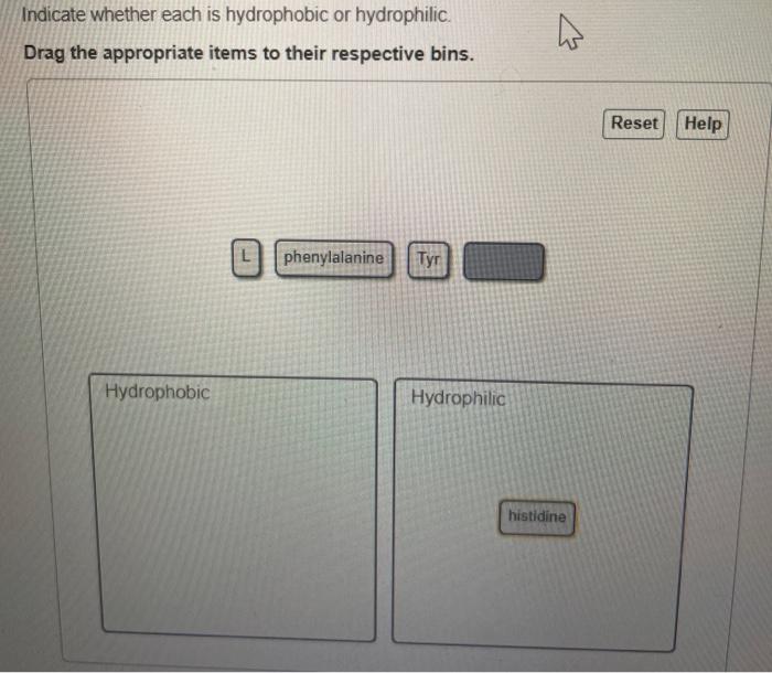 Solved Indicate whether each is hydrophobic or hydrophilic. | Chegg.com