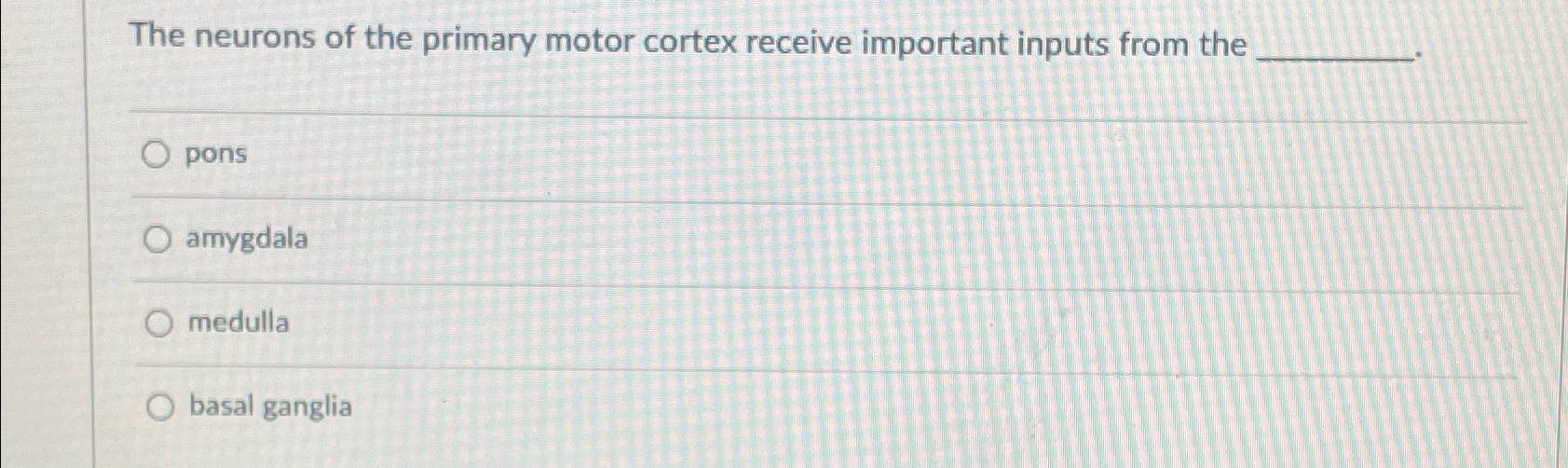 Solved The neurons of the primary motor cortex receive | Chegg.com